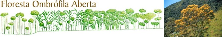 RBMA - Reserva da Biosfera da Mata Atlântica